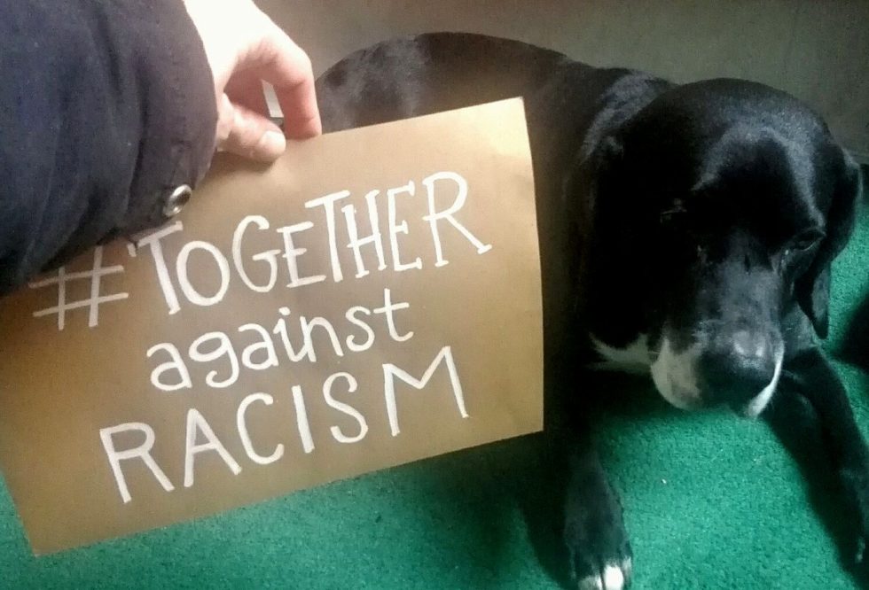 #TogetherAgainstRacism Social Media Campaign | INAR